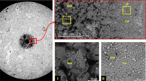 Environmental Science And Technology Vol 58 No 6 Acs Publications