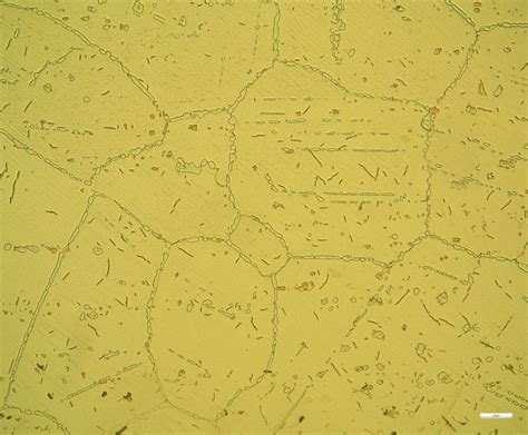 Farshad Ghadimi On Linkedin Metallurgy Metallurgy Microstructure Microstructure Superalloy…