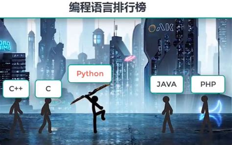 java和python能联合开发吗 java和python混合架构 CSDN博客