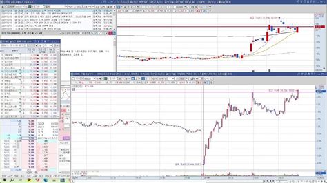 12월 19일 주식라이브실시간매매 풀미수 Youtube