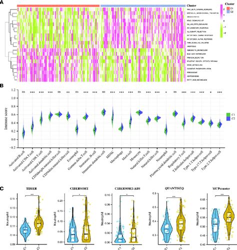 Gsva Enrichment Analysis And Immune Infiltration Analysis Of Iri