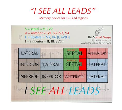 Tyler The Visual Nurse “i See All Leads” Memory Device For 12 Lead