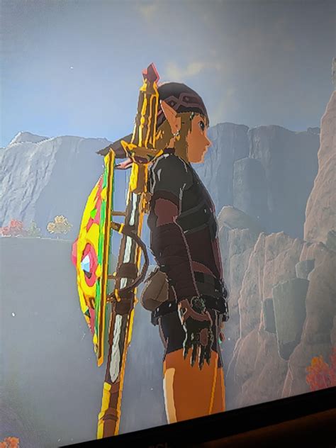 Totk All That Running And Climbing And Link Still Has Flat Butt Rzelda