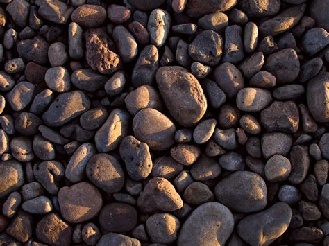 Qanda With Elizabeth Bourcier Resident Vigneronne At Bionic Wines