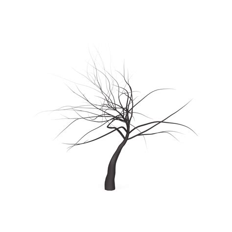 Tree Roots Isolated On Transparent 17172467 PNG