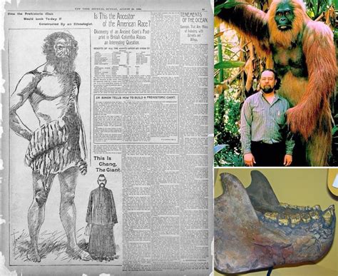 Meet Your Cousin Gigantopithecus R Conspiracy