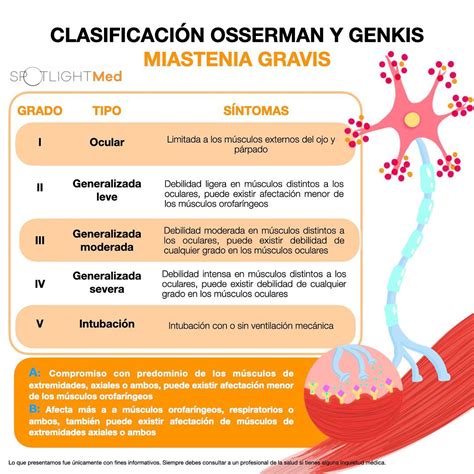 Spotlightmed Miastenia Gravis Clasificación De Osserman