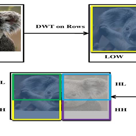 Dwt Transform Of Host Image Download Scientific Diagram