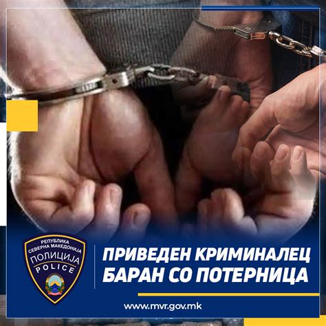 Приведен криминалец баран со централна потерница осуден на казна затвор од 5 години и 10 месеци