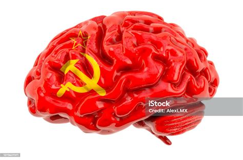 Ussr 플래그와 인간의 두뇌 Ussr 개념의 과학 연구 및 교육 흰색 배경에 고립 된 3d 렌더링 3차원 형태에 대한 스톡 사진 및 기타 이미지 Istock