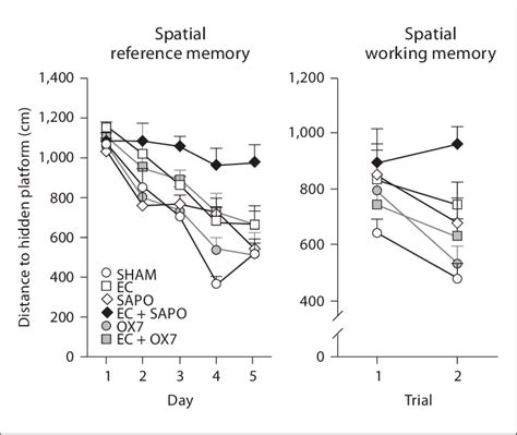 Spatial Reference Memory And Working Memory Performance In The Morris Download Scientific