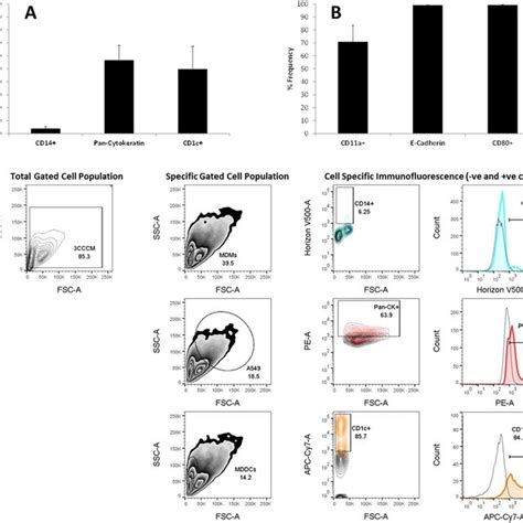 Percentage Frequency Frequency Of Specific Surface Marker Expression Download Scientific