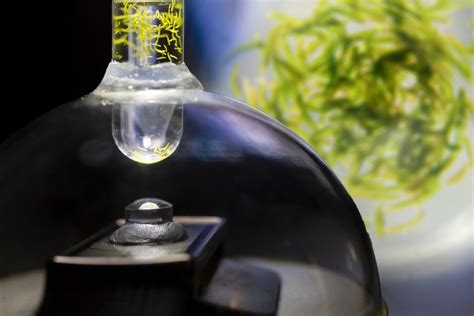 Miha Godec Miha Godec Is An Artist Musician Videographer Photographer Mentor And Lecturer