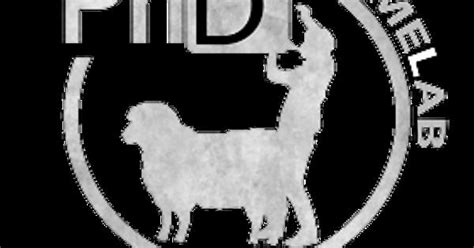 Logo Pnd Argento Album On Imgur