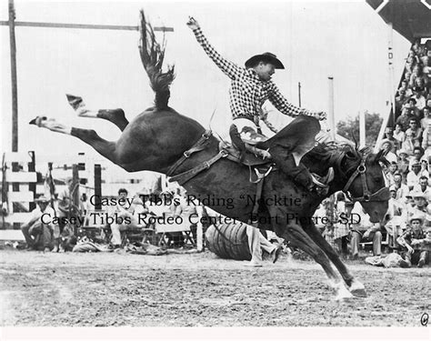 From Rodeos To Movies—casey Tibbs Documentary Fascinates