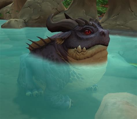 불룩배 개구리 Npc 월드 오브 워크래프트