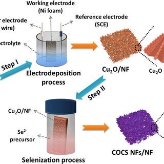Schematic Of Fabrication Process For D Hierarchical Cocs Nfs Array On