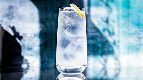 5 Simple Summer Gin Cocktails Candra Drinks