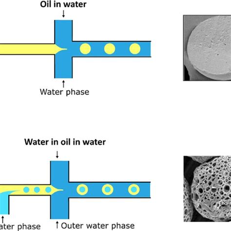 Schematic Representation Of Emulsion Solvent Evaporation Techniques For