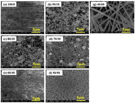 FE SEM Images Of Distribution Of Average Diameter And Orientation Of Download Scientific