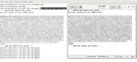 Installation Of The Amp For Endpoints Linux Connector Cisco