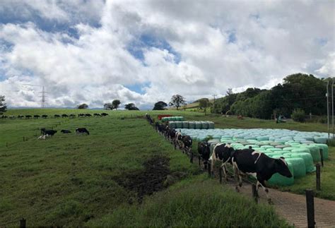 Recorrido Por Latinoamérica Conociendo Su Sector Lácteo Campo Galego