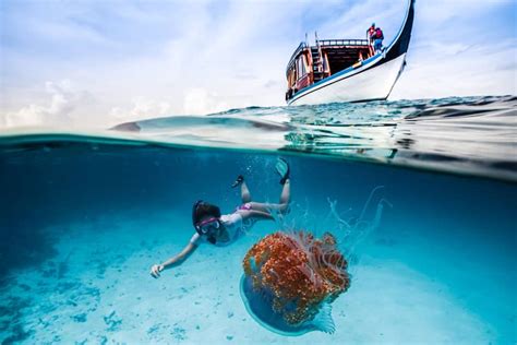 Everything You Must Know About Snorkeling In Maldives