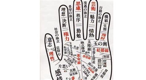 男性手相解析图 配图网