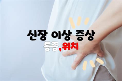 신장 통증 위치 콩팥 위치 신장 질환 증상 네이버 블로그