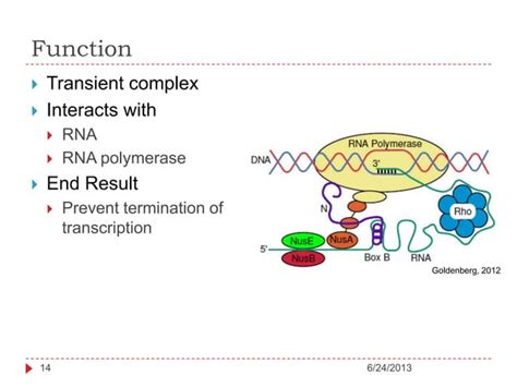 A Basic Understanding Of Intrinsically Disordered Proteins Pptx Genetics Science