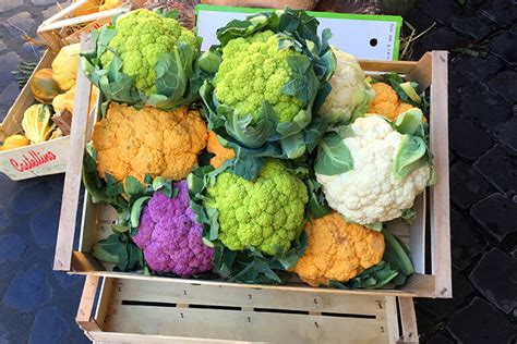 არის თუ არა ყვავილოვანი კომბოსტო სასარგებლო ნახეთ როგორ შევინახოთ და მოვამზადოთ სწორად