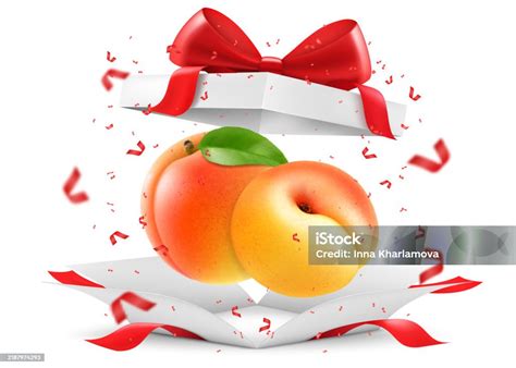 잘 익은 육즙이 많은 살구 과일은 투명한 배경에 고립 된 빨간 활과 함께 열린 선물 상자에 있습니다 맛있고 달콤한 과일 현실적인 3d 벡터 일러스트 레이 션 여름 디자인