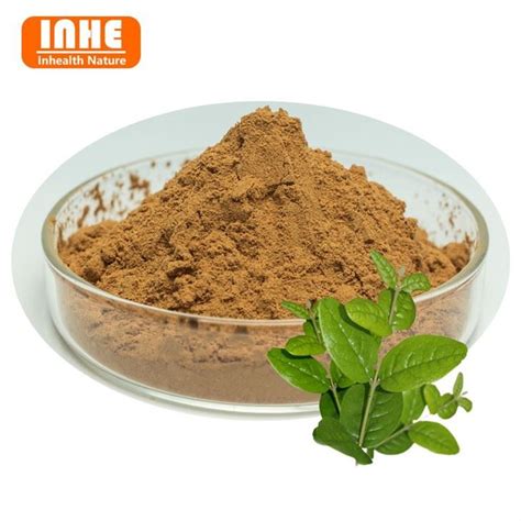 China Boldo Leaf Extract Manufacturers Suppliers Factory Boldo Leaf