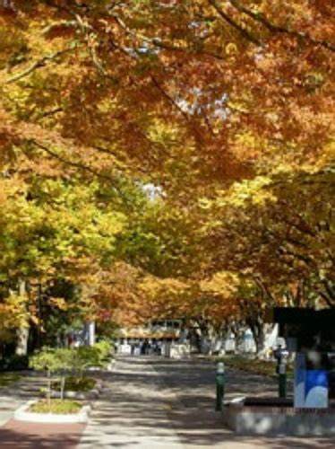 California State University Sacramento Sacramento Localwiki