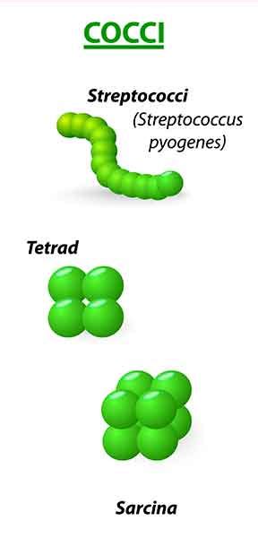 Verify Wonderland Labs Fda Compliant Testing Lab Kratom Kava