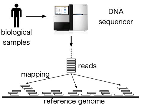 Jsoc 2015 Project Efficient Data Structures And Algorithms For
