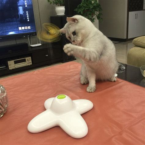 Badu Bg Електрическа котешка играчка летяща пеперуда Badu Bg