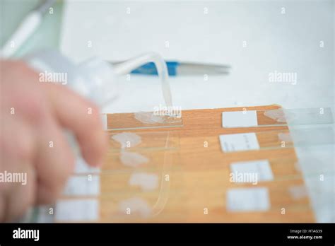 Microscope Slide Preparation Hi Res Stock Photography And Images Alamy