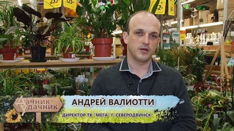 ДАЧНИК УДАЧНИК - Ольга Чижик – «Детский уголок» (05.07.17) - YouTube