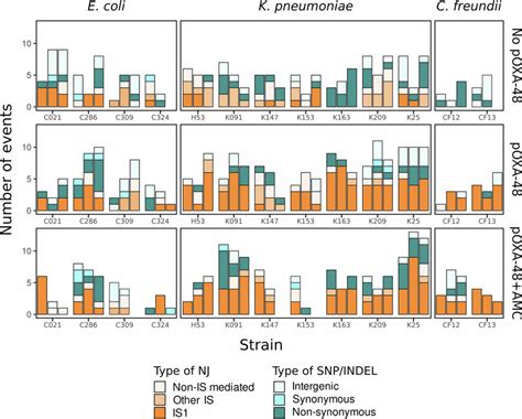 Overview Of The Mutational Profile In Each Evolved Replicate Download Scientific Diagram