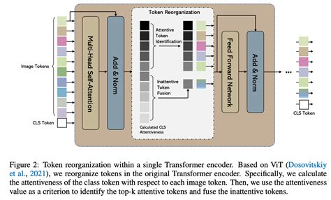 Cvpr2023 Making Vision Transformers Efficient From A Token Sparsification View 知乎