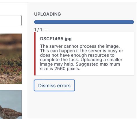 How To Fix Server Cannot Process The Image Error In Wordpress Webful Creations Vision