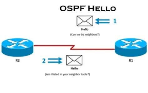 Network Fundamentals