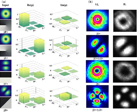 Density Matrix And Intensity Profiles A Input State And Density Download Scientific Diagram