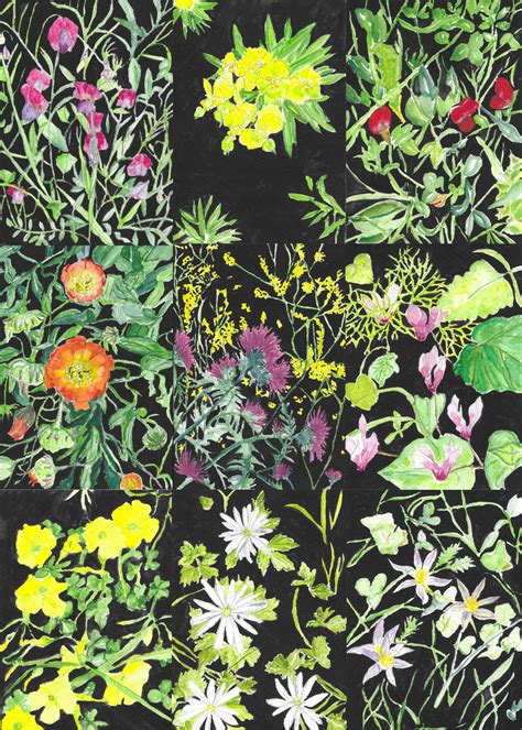 Projects Of Work Lucy Lawrence Artwork
