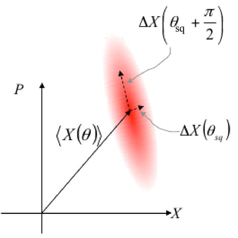 20 Squeezing Along The Squeezing Angle Download Scientific Diagram