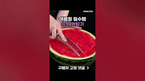 수박 칼 커팅기 자르기 네모 슬라이서 Shorts Youtube