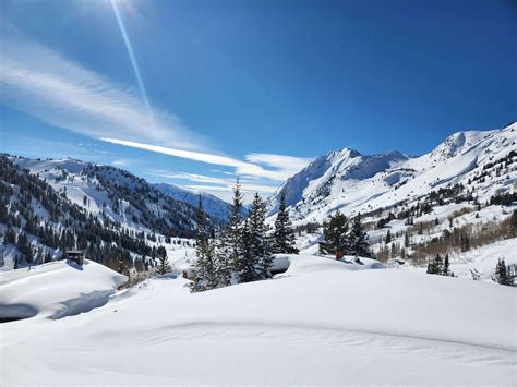 two requests and 2024 sneak peek utah population and environment council