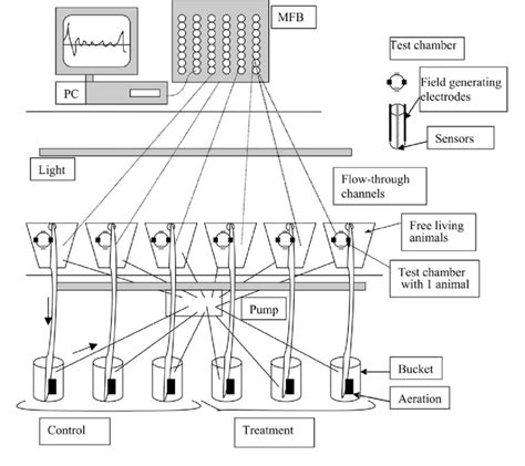Experimental Set Up Of The Laboratory Exposures PC Personal Download Scientific Diagram