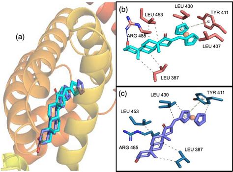 A Complexes Docked In The Binding Site 2 Of The Hsa Protein Pdb Download Scientific Diagram